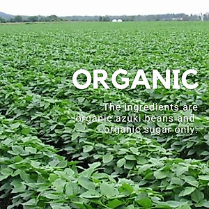 Earthink JapanVillage Anko Japanese Red Bean Paste Organic Certified 300g (TSUBUAN Coarse Red Bean Paste, Pack of 1)