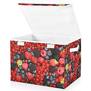 VIGTRO Large Collapsible Storage Bins with Lids Strawberry Berries Fruits, Storage Baskets Organizer Containers with Handles for Home Bedroom Office