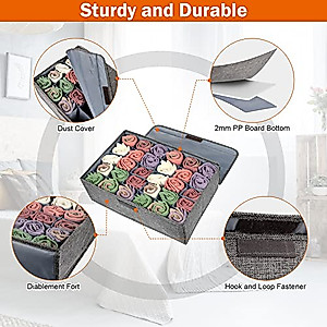 Hyttrolly 30 Cells Underwear Sock Scarf Tie Drawer Organizer, with Lid Washable Foldable and Durable Fabric, Perfect for Underwear Sock Tie Lingerie Storage and More, Get Organized Today!