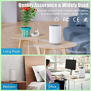 Muliap AF3080 Hepa Filter,Replacement Filter for Kj80,H13 Hepa Filter,For Dust Smoke Pet Dander Pollutants.Only the Muliap KJ80 Can Use,1 Pack.