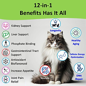 Eventually Young 12-in-1 Kidney Support for Dog & Cat with NMN & Fisetin - Super Phosphate Binder Kidney and Liver Supplement for Feline, Canine Healthy Aging & Longevity (60 Capsules)