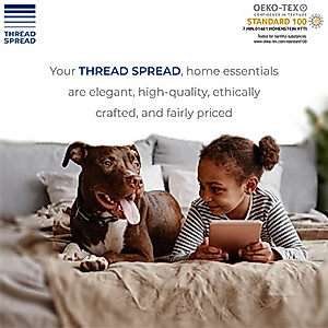 THREAD SPREAD Queen/Full Duvet Cover, 1000 Thread Count Sateen 3 Piece Egyptian Cotton Quality Duvet Cover, 100% Pure Cotton Comforter Cover, 2 Pillow Shams, Zipper Closure, 7 Corner Ties - (White)