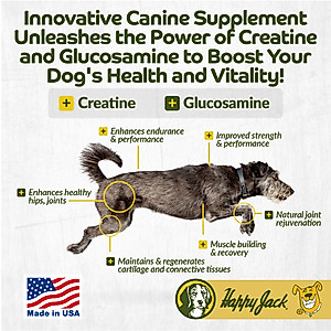 Happy Jack Flexenhance Dog Hip and Joint Supplement with Skin & Coat Support Plus (80 Chewable Tabs), Improve Flexibility & Mobility, Glucosamine, Green Lipped Mussel, Fish Oil