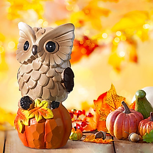 Moucuny Owl Fall Decor Resin Thanksgiving Owl Decor Fall Pumpkin Owl Table Centerpieces Thanksgiving Table Decor Country Style Thanksgiving Owl on Pumpkin Autumns Fall Home Garden Holiday Decor