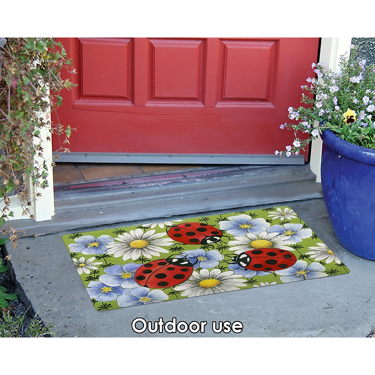 Toland Home Garden 800209 Flowers and Ladybugs Spring Door Mat 18x30 Inch Summer Outdoor Doormat for Entryway Indoor Entrance