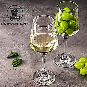 HAKEEMI Red/White Wine Glasses Set of 12, 12 oz Clear Wine Glasses with Stem, Dishwasher Safe