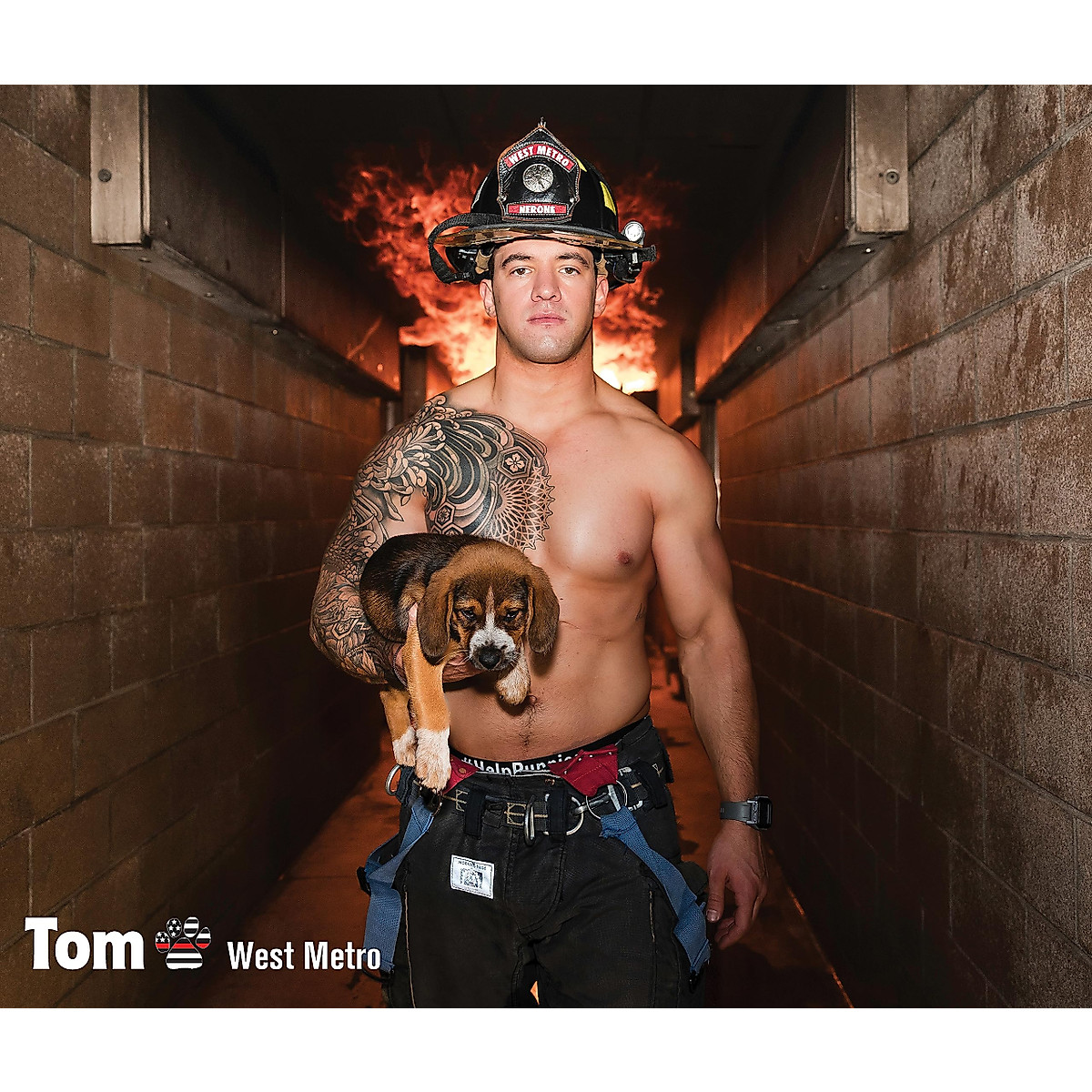 2024 Fire Rescue Dogs Calendar