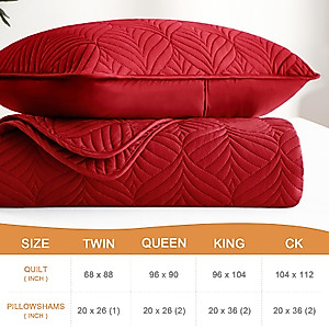 Whale Flotilla Elegant Extra Soft Quilts Queen Size, 3-Piece Lightweight Modern Geometric Full Queen Quilt Bedding Sets Bedspread Coverlet for All Seasons, Red