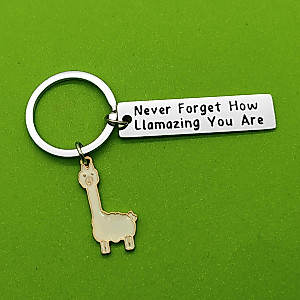 Baipilu Llama Keychain Llama Gift Never Forget How Llamazing You are Keychain for Women Alpaca Gifts Animal Lover Gift Inspiring Inspired Motivational Keychains for Women,birthday gift for friends