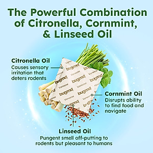 BugMD Vamoose Rodent Repellent Pouches (2 Pack, 8 Pouches) – Plant-Powered Rat Repellent, Mouse Deterrent, Indoor & Outdoor Mice Repellent, Best Mouse Repellent, Natural Rat & Mouse Repellent