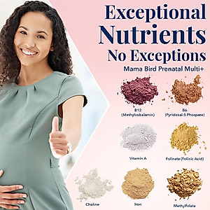 Best Nest Wellness Mama Bird Prenatal Vitamin: Vegan Prenatal Vitamins for Women w/Methylfolate (Folic Acid) w/Organic Herbal Blend, Prenatal Vitamins for Women B12, Choline, Once Daily, 30 Count