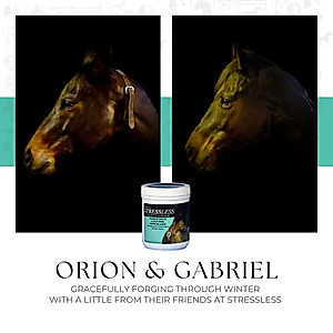 StressLess Hot Horse Supplement - 60 Day Supply - Promotes Calm & Focus - All Natural