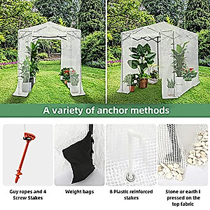 CROWN SHADES 8'x6' Instant Pop-up Walk-in Greenhouse Indoor Outdoor Plant Gardening Green House Canopy, Front and Rear Roll-up Zipper Entry Doors and 2 Roll-Up Side Windows, Transparent