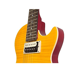 Epiphone Slash "AFD" Signature Les Paul Special-II, with Gig Bag