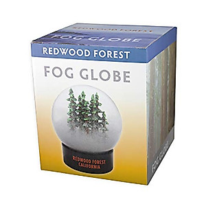 Redwoods California Fog Snow Globe Hand Painted