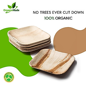 Organix Made - Disposable Palm Leaf Bamboo Plates, 6 Inch Square (50 Plates) - Appetizer and Dessert Dinnerware Plates - Biodegradable, Compostable, & Eco-Friendly Plates - Light & Sturdy