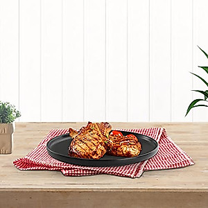 ZENFUN Set of 4 Porcelain Dinner Plates, 10 Inch Matte Ceramic Dish Steak Plates, Elegant Large Round Serving Plates for Salad, Pasta, Pizza, Dishwasher & Microwave Safe, Black