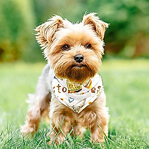 LEVEIS 2 Pack Dog Bandana Oktoberfest Pattern Girl Boy Pet Bibs Dog Scarf Kerchief Washable Bandanas Accessories for Small Medium Large Dogs Puppy Cat Pet, 40.6x40.6x58/16x16x22.8in (cwwb-001)