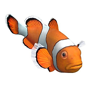 Endless Ocean: Dive, Discover, Dream (Renewed)