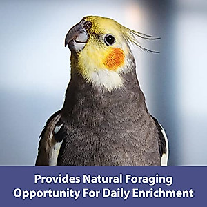 Kaytee Spray Millet Treat for Pet Birds, 7 Ounce