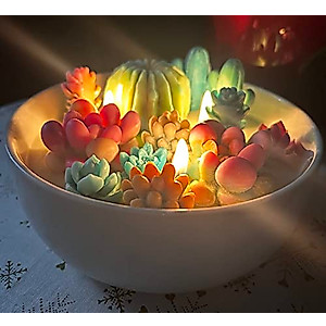 Navani Succulent Silicone Mold, Cactus Resin Mold, Candle Mold Silicone for DIY Handmade Soap, Candle, Cake Decoration - 9 Pcs