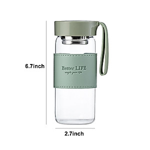 DNIENKGE Glass tea bottle 16 oz drinking bottle with Non-Slip holster, and Stainless Tea Infuser,Leak Proof Lid,Portable glass water bottle for school, office, car home,as a gift, etc (Green)
