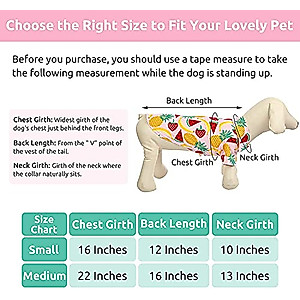 ASENKU 2 Pack Dog Hawaiian Shirt Dog Summer Clothes Cool Dog Polo T-Shirts Floral Dog Vest Short Sleeve Pet Apparel with Printed Coconut Tree and Fruits for Small to Medium Puppy Dogs Cats (Medium)