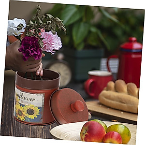 Cabilock Rustic Decor cookies tin farmhouse with lids vase bulk vases cookie tray with lid Container Plant Holder cactus Rustic Bread