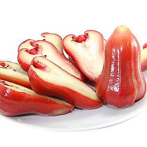 Live Red Rose Apple Plant, Red Wax Apple Tree Plant, 2 Ft Tall Sweet Fruit Plant for Garden