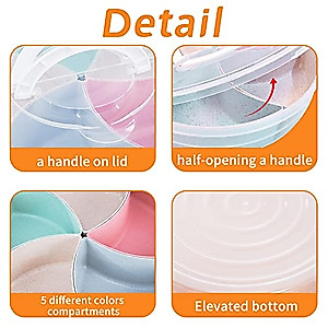 Round Divided Serving Tray Platter with Lid & Handle Storage Container, 5 Colorful Compartment Box Clear Organizer, Compartment Party Platter for Candy, Appetizer, Snack, Fruit, Nuts, Veggie, Parties