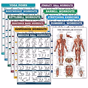 11 Pack - Exercise Poster Set: Dumbbell, Suspension, Kettlebell, Resistance Bands, Stretching, Bodyweight, Barbell, Yoga, Exercise Ball, Muscular System, Medicine Ball (LAMINATED, 18" x 24")