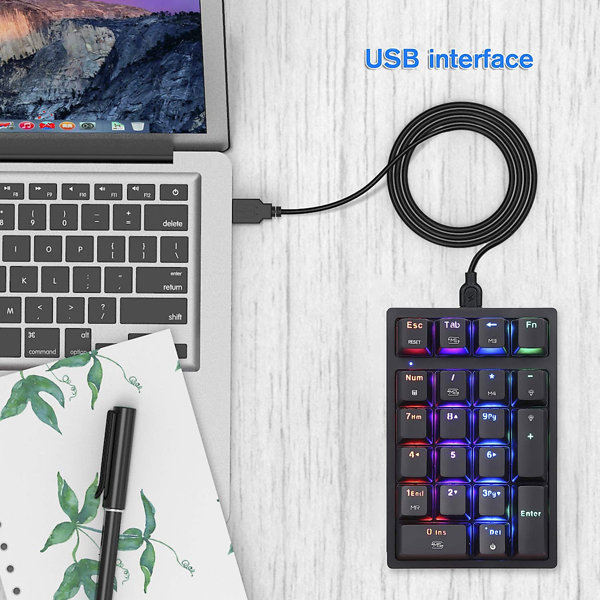 MOTOSPEED Macro Mechanical Numeric Keypad USB Wired 21 Keys Mini Numpad Portable Keypad RGB Backlight Gaming Keypad Extended Layout for Cashier(Fully Programmable Keys)