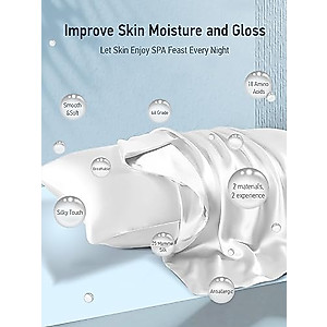 Lacette Silk Pillowcase for Hair and Skin 2 Pack, 22Momme 100% Mulberry Silk & Natural Wood Pulp Fiber Grade 6A Dual-Sided Silk Pillow Cases, Silk Pillow Cover with Zipper (Standard 20"x26",White)