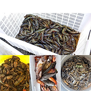 DAMIDEL 32in x 10in Folded Fishing Bait Trap, 10 Holes 10 Sides Foldable Fishing Nets for Fish/Crab/Shrimp/Crawdad, Upgrade Large Space,Bait Bag/Bait Box/Rope/Storage Bag