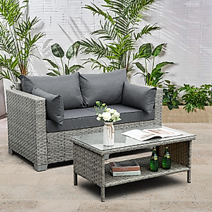 WAROOM Patio Loveseat Outdoor Wicker Small Couch PE Rattan 2-Seater Furniture Sofa, Deep Patio Seating with Grey Cushion