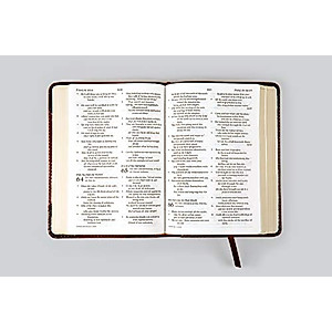 ESV Large Print Compact Bible(8 pt Lexicon type Print) (TruTone, Berry, Floral Design)