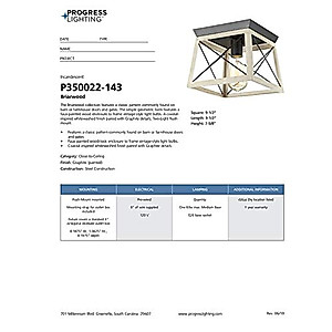 Briarwood Collection Whitewashed One-Light Farmhouse Flush Mount Ceiling Light