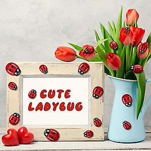 100 Pieces Tiny Resin Ladybugs Decor 0.55''-0.98'' 3 Size Plastic Ladybugs Shaped Embellishments Craft Ornaments Charms for Party Wreath Home Decoration