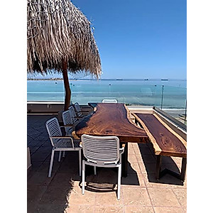 Live Edge Wood Bench (70, Brown)