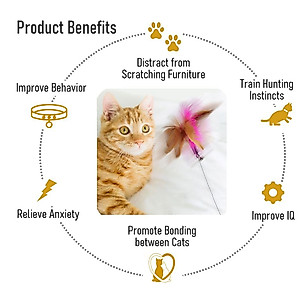 KOTYA Cat Teasing Wand Silicone Collar Hands Free Toy with Bell and Feathers (Sky Blue)