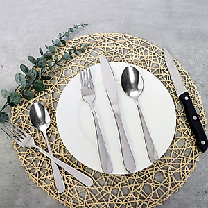 Silverware Set, QOUTIQUE 48 Piece Stainless Steel Flatware, Service for 8 Cutlery Set Utensils, for Home Kitchen Restaurant, Include Knives Spoons Forks Steak Knives, Mirror Polished, Dishwasher Safe