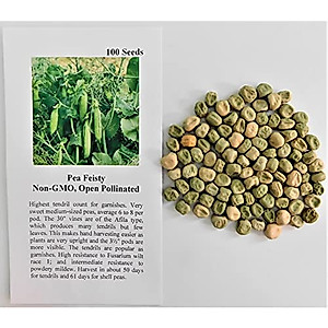 David's Garden Seeds Pea Snap Feisty FBA-2722 (Green) 100 Non-GMO, Open Pollinated Seeds