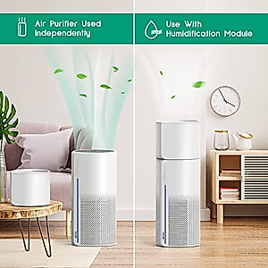 Afloia 2 in 1 HEPA Air Purifier with Humidifier, 3 Stage H13 Filters for Home Allergies Pets Hair Smoker Odors, Evaporative Humidifier, Auto Shut Off, Quiet Air Cleaner with Seven Color Light,MIROPRO