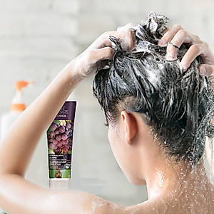Desert Essence Italian Red Grape Shampoo UV Damage & Color Protection Cleanser Infused with Resveratrol, Organic Grape Seed & Maca Root - Vegan, Gluten-Free, Cruelty-Free - 8oz (Pack of 2)