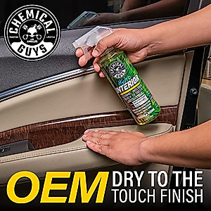 Chemical Guys SPI22716 HydroInterior SiO2 Ceramic Interior Quick Detailer and Protectant for Interiors, Furniture, Apparel, and More (Works on Plastic, Vinyl, Imitation Leather, and More), 16 fl oz