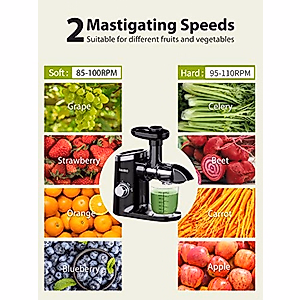 Slow Juicer,Aeitto Celery Juicer Machines,Masticating Juicer,Cold Press Juicer, Juice Extractor with 2-Speed Modes,Reverse Function & Quiet Motor for Vegetables And Fruits,Easy to Clean with Brush