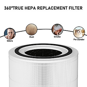 True HEPA Replacement Filter Compatible with 240 Air Cleaner Purifier, 3-in-1 True HEPA Filter Replacement, Model 14, 2 Pack