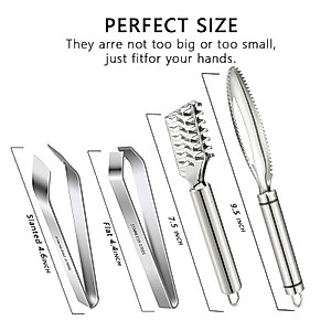 iziusy 2 Pcs Fish Tweezer 2 Pcs Fish Scale Remover, Fishbone Tweezers Fish Descaler Fish Cleaner Fish Scraper Tool Stainless Stee Fish Bone Pliers Remover,