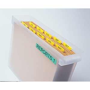 Brother PC-Connectable Label Maker with Auto Cutter (PT-2430PC)