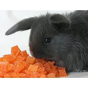 Papaya Treat 8 oz. - Healthy Natural Dried Fruit Treat - Sugar Gliders, Rats, Chinchillas, Ferrets, Parrots, Hamsters, Squirrels, Hedgehogs, Guinea Pigs, Rabbits, Prairie Dogs, Marmosets, Small Pets